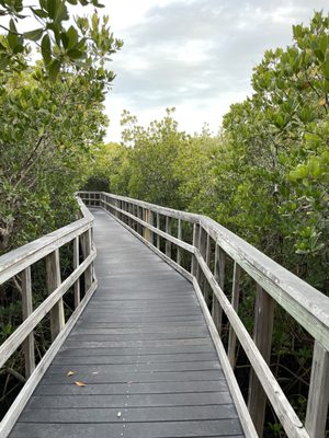 INDIAN ROCKS BEACH NATURE PRESERVE - Updated October 2025 - 25 Photos ...