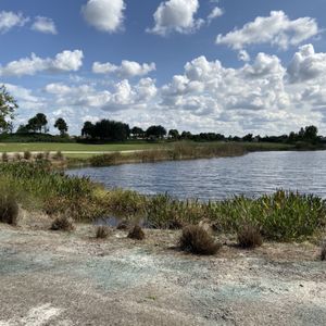 LELY RESORT GOLF AND COUNTRY CLUB - 51 Photos & 28 Reviews - 8004 Lely ...