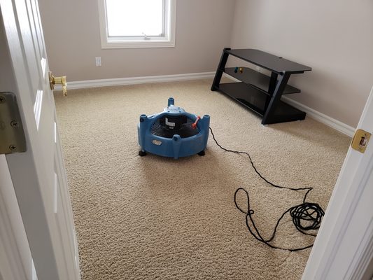 FIBERCARE CARPET & UPHOLSTERY CLEANING - Updated December 2025 - 100 ...