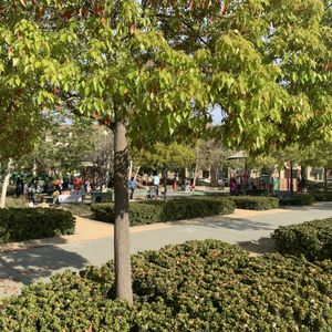 NEWHALL PARK - 10 Photos & 16 Reviews - 972 Newhall St, San Jose ...