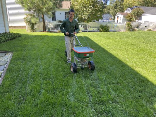 VIRGINIA GREEN - Updated December 2025 - 11 Photos & 10 Reviews - 12738 ...