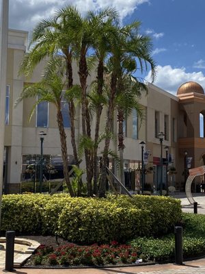 THE SHOPS AT WIREGRASS - Updated February 2025 - 209 Photos & 145 ...