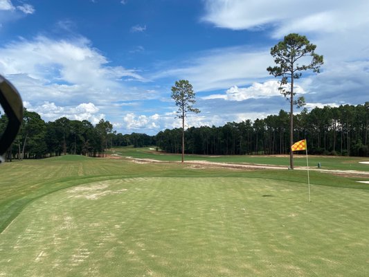 ROBERT TRENT JONES GOLF TRAIL - MAGNOLIA GROVE - Updated December 2025 ...