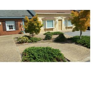 PROLIFIC SOLUTIONS - Updated April 2025 - Request Consultation - 909 ...