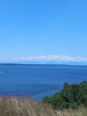 MAGNOLIA VIEWPOINT - Updated November 2025 - 10 Photos - 2047-2221 ...