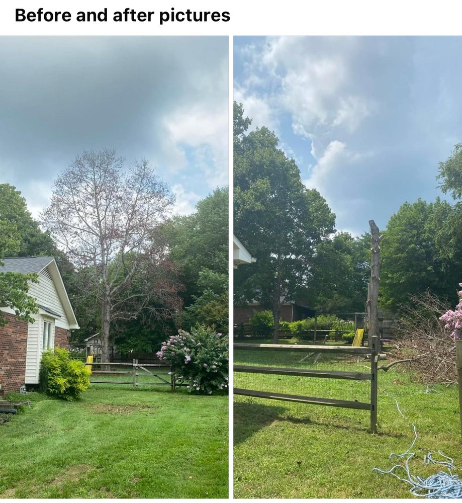 PRECISION TREE CARE - Updated May 2025 - Request a Quote - Thomasville ...