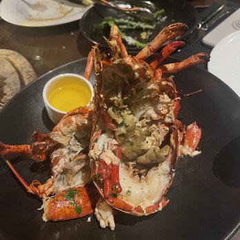 D.PRIME STEAKHOUSE - Updated December 2025 - 239 Photos & 120 Reviews ...