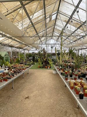 BOTANY - Updated December 2025 - 42 Photos & 15 Reviews - 6430 McGill ...