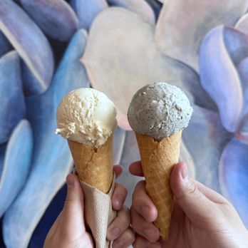 TARA’S ORGANIC ICE CREAM - Updated July 2025 - 415 Photos & 1000 ...