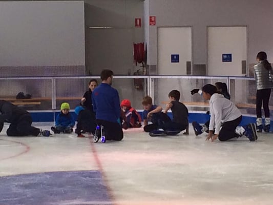 ICE ZOO ICE RINK - Updated January 2026 - 689 Gardeners Rd, Alexandria ...