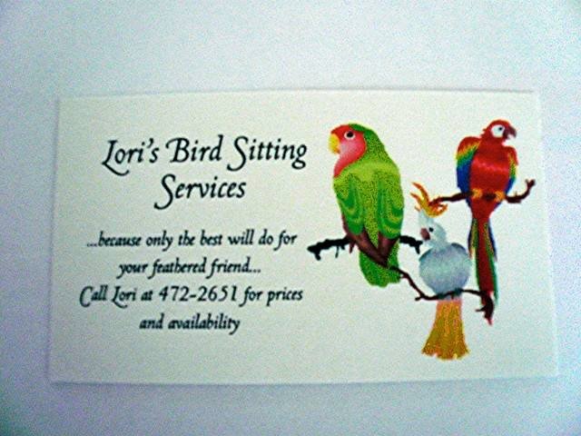 LORI’S BIRD SITTING SERVICES - Updated April 2024 - London, Ontario ...