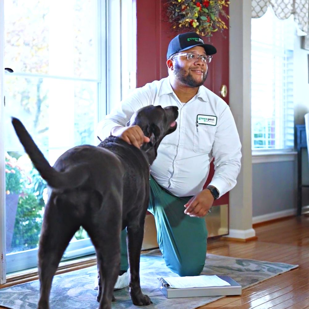 GREEN PEST SOLUTIONS - Updated October 2025 - 68 Photos & 49 Reviews ...