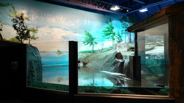 AQUATARIUM - 14 Photos - 6 Broad Street, Brockville, Ontario ...