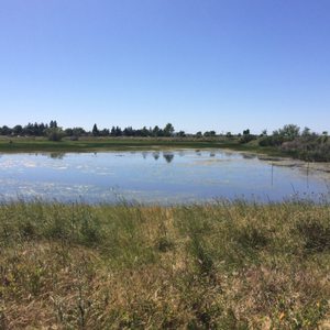 JACK E HILL PARK - Updated December 2025 - 31 Photos - 9380 Porta Rosa Dr, Elk Grove, California ...