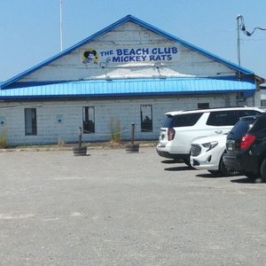 THE BEACH CLUB AT MICKEY RATS - 27 Photos & 23 Reviews - Bars - 8934 ...