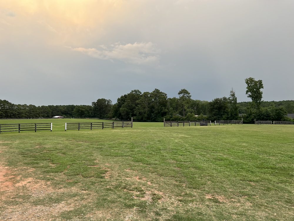 SUGG FARM PARK - Updated March 2025 - 11 Photos - 2401 Grigsby Ave ...