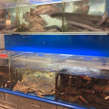 GAGA SEAFOOD RESTAURANT - Updated July 2024 - 895 Photos & 326 Reviews ...