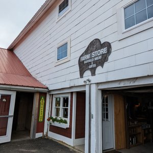 SEVEN SAWS BREWING - Updated July 2024 - 39 Photos & 28 Reviews - 1148 ...