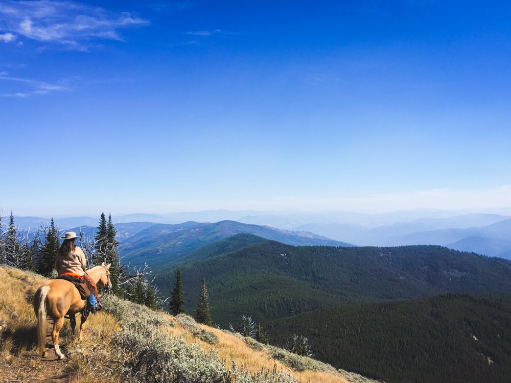 TRUE WEST TRAIL RIDES - Updated March 2025 - 16 Photos & 11 Reviews ...