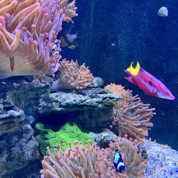 JINDU ASIAN CUISINE - Updated January 2026 - 186 Photos & 124 Reviews ...