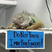 BUG & REPTILE MUSEUM - 64 Photos & 34 Reviews - 1118 Charleston Beach ...
