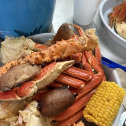 DEWY DEW BUGZ - Updated August 2025 - 35 Photos & 52 Reviews - 9419 ...