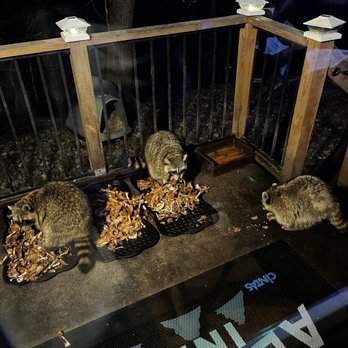 ALPINE INN - Updated June 2025 - 201 Photos & 143 Reviews - 10405 ...