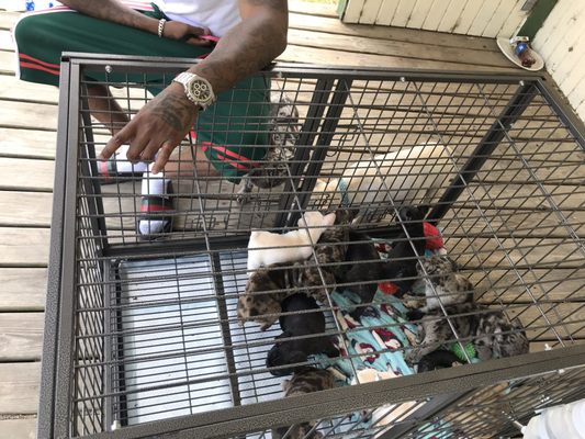 GORDON ANIMAL CLINIC - Updated January 2026 - 17 Photos & 16 Reviews ...