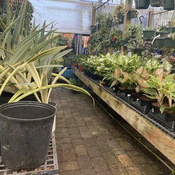 LEONARDI’S NURSERY LANDSCAPING & IRRIGATION - Updated December 2025 ...