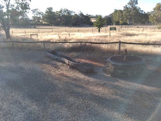 THE HERBIG FAMILY TREE - Updated March 2025 - Angaston Rd, Springton ...