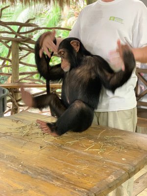 ZOOLOGICAL WILDLIFE FOUNDATION - 850 Photos & 236 Reviews - 16225 SW ...