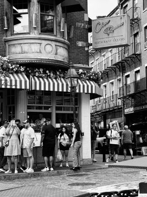 CIAO ROMA - Updated September 2025 - 507 Photos & 276 Reviews - 5 North ...