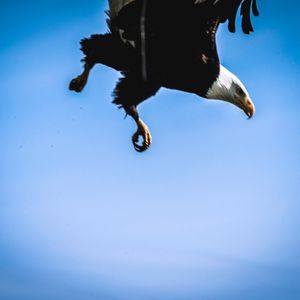 LAKE CONNOR PARK - Updated April 2025 - 17 Reviews - 14320 28th St NE ...