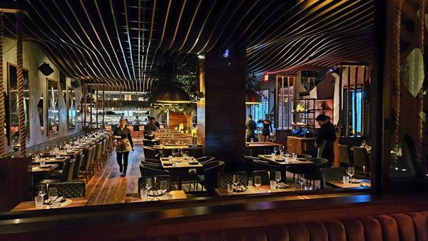 TOCO MADERA - Updated October 2025 - 39 Photos & 15 Reviews - 1717 ...