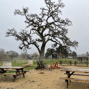 CHRISTIAN LAZO WINES - Updated December 2024 - 14 Reviews - 7235 Non ...