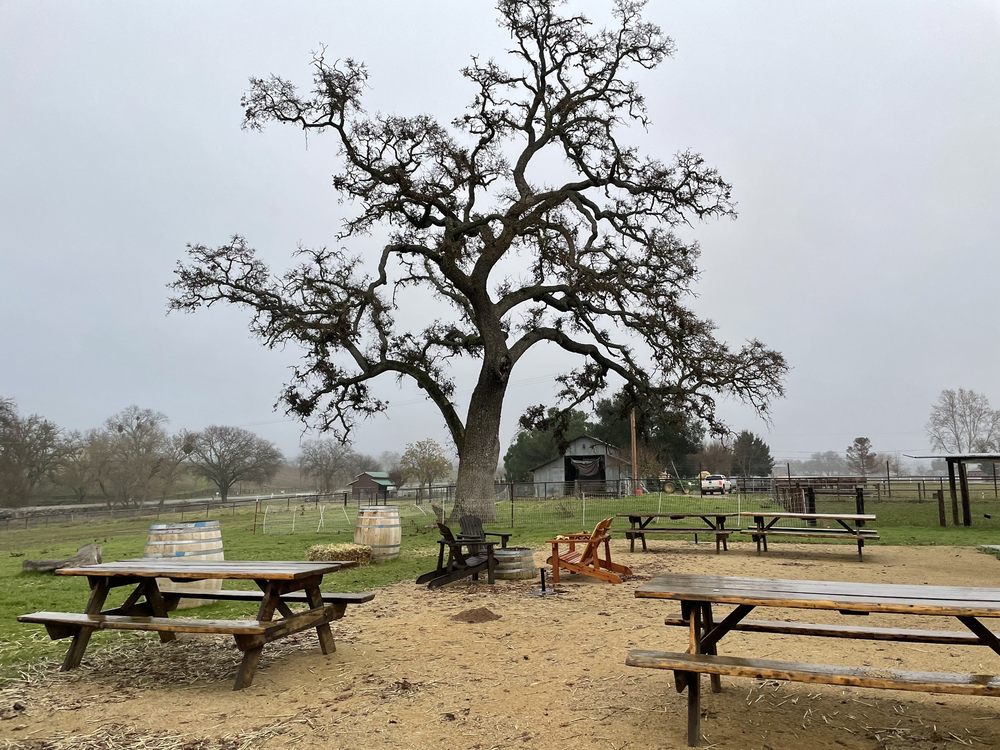 CLESI WINES - Updated January 2026 - 33 Photos & 40 Reviews - 1873 ...