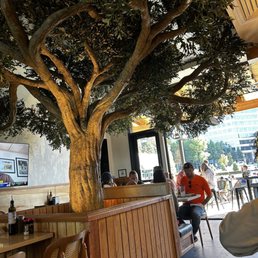 MEDDYS - Updated November 2025 - 149 Photos & 108 Reviews - 4820 E 61st ...