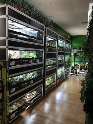 THE BIO DUDE - Updated June 2025 - 67 Photos & 41 Reviews - 15116 Hwy 3 ...