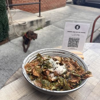 WHITE RABBIT GASTROPUB - Updated October 2024 - 709 Photos & 845 ...