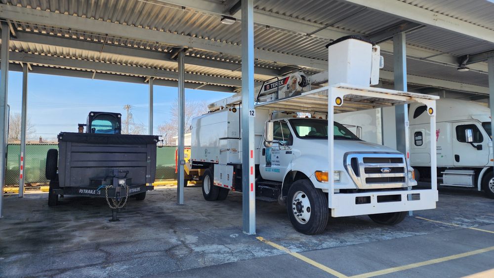 FREEL DEAL TREE SERVICES - Updated October 2025 - 113 Photos - 15763 ...