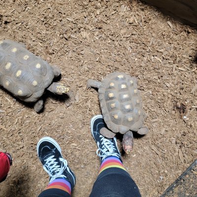 ZOO CREATURES PET STORE - Updated December 2025 - 83 Photos & 70 ...