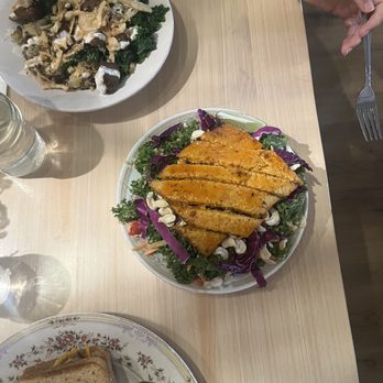 THE RED FERN - 521 Photos & 450 Reviews - 283 Oxford St, Rochester, New ...