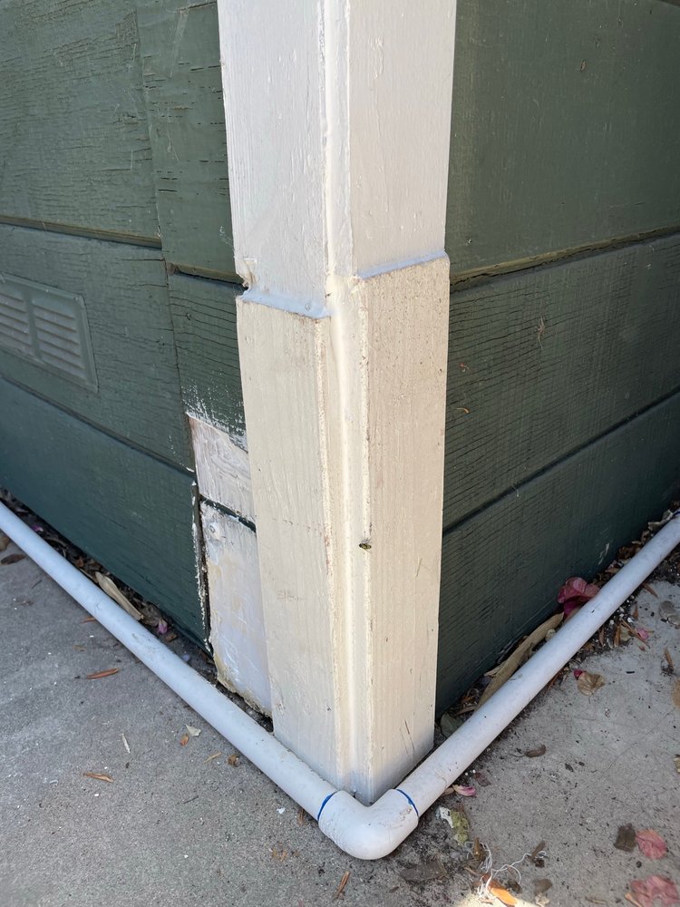 PRO PACIFIC PEST CONTROL - Updated July 2025 - 102 Photos & 137 Reviews ...