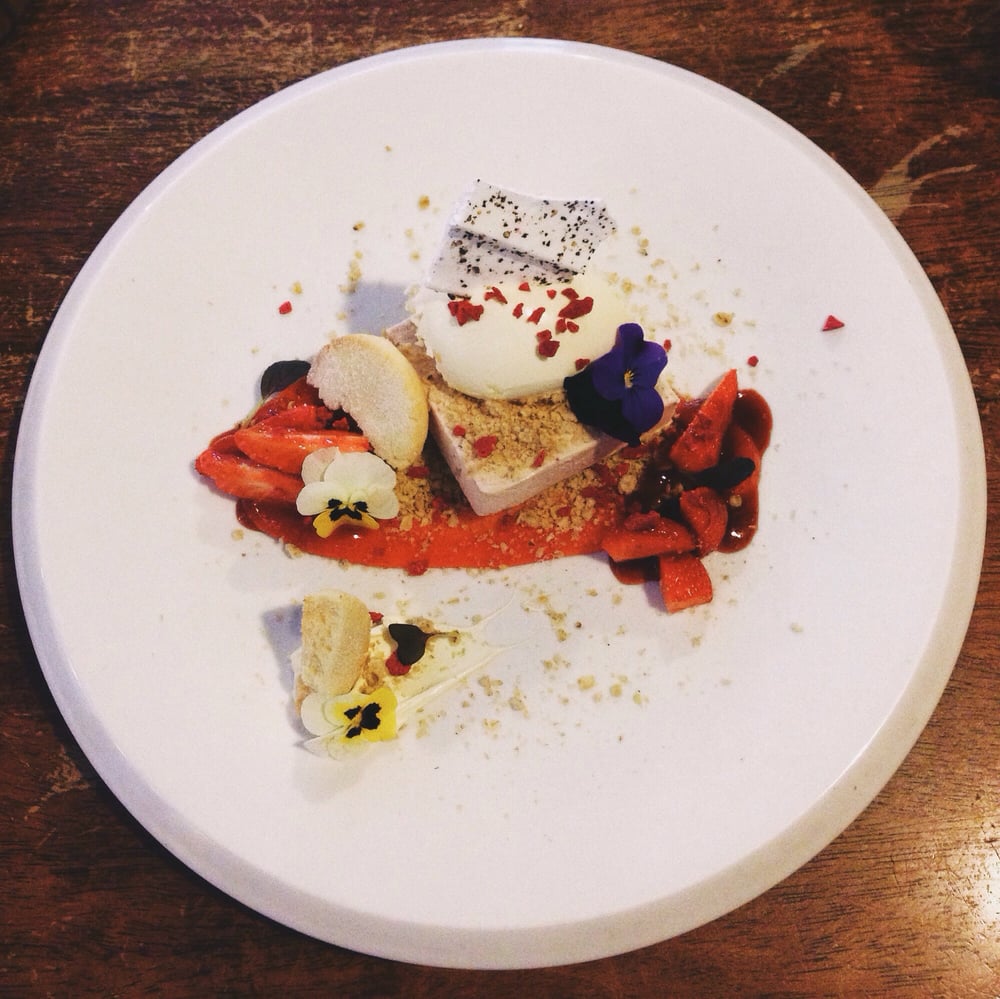 THE SPRINGER SPANIEL - Updated June 2025 - Treburley Close, Launceston ...