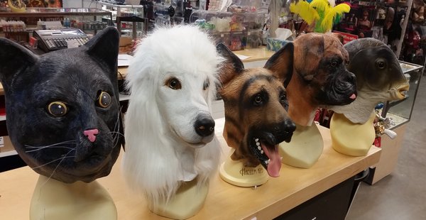 IMAGINE LE FUN - Updated December 2025 - 37 Photos - 34 Avenue du Mont ...