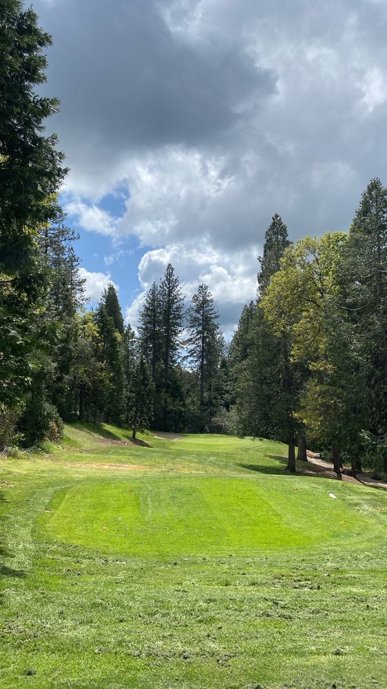 FOREST MEADOWS GOLF COURSE - Updated May 2026 - 15 Photos & 28 Reviews ...