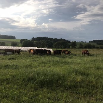 MAPLE ARCH FARM - Updated November 2025 - 14 Reviews - 3418 Limestone ...