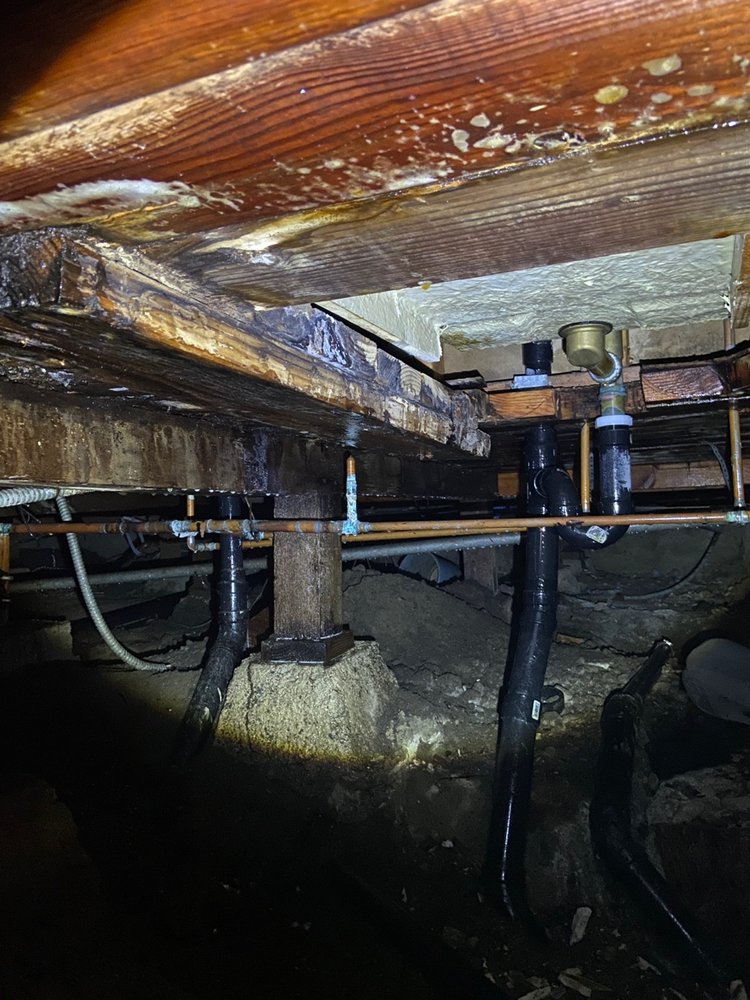 GNB PEST CONTROL & TERMITE - Updated February 2025 - 38 Photos - 17420 ...