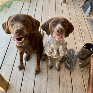 CHENEY ANIMAL CLINIC - Updated August 2025 - 27 Reviews - 455 Cheney ...