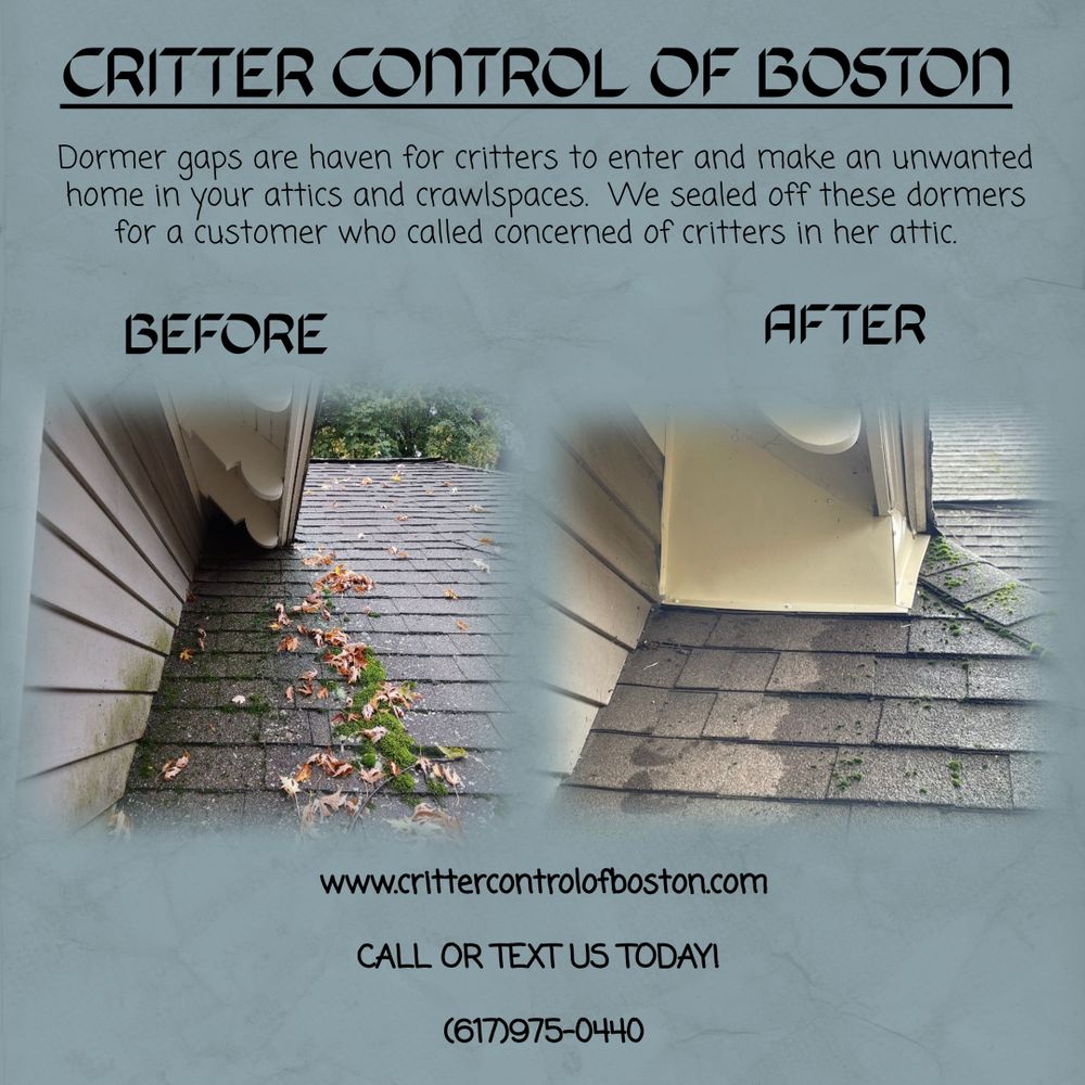 CRITTER CONTROL OF GREATER BOSTON - 41 Photos & 63 Reviews - Watertown ...